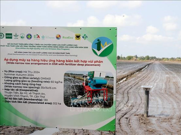 One-million-hectare low-emission rice field project started