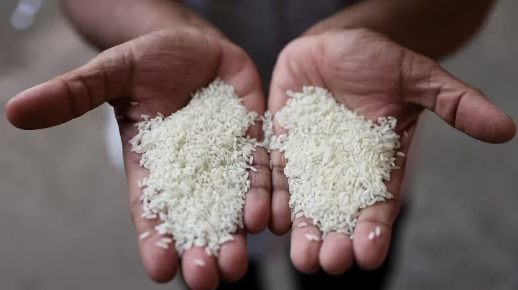 Bharat rice to hit market, with price tag of Rs 29/kg