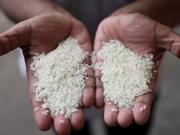 Piyush Goyal launches sales of subsidised Bharat rice