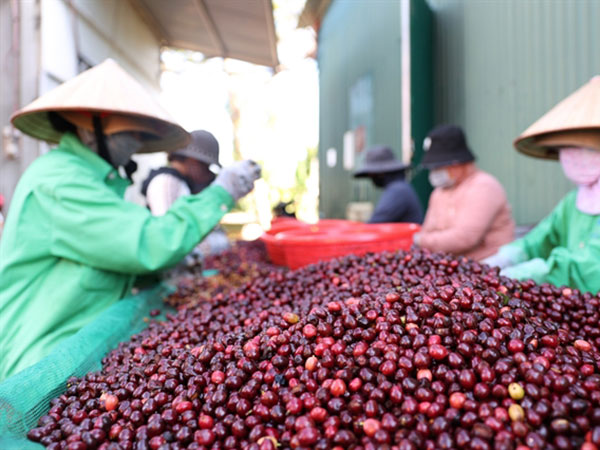 Agricultural trade surplus nearly doubles in Q1 on strong rises of ...