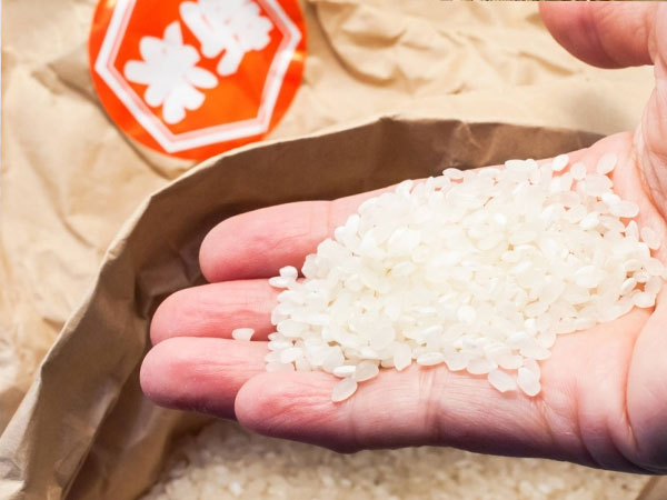 Heat waves impact Japan's rice quality, leading to shortage